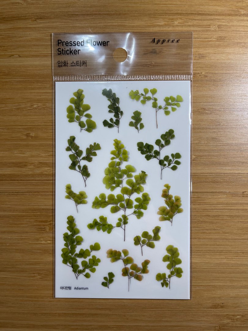Appree Pressed Flower Sticker - Adiantum (APS-021), Hobbies & Toys ...