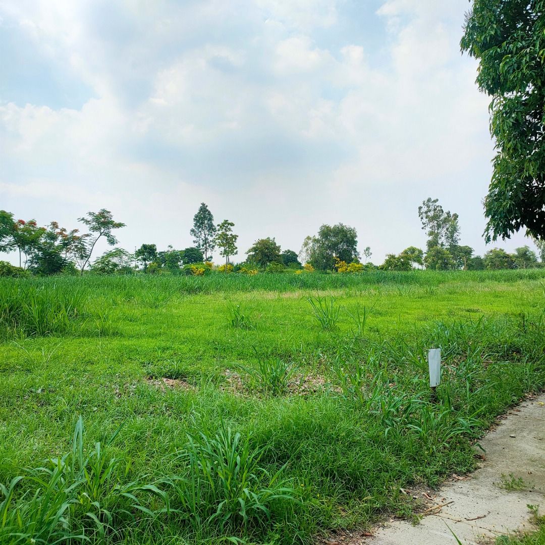 Lumira Single Loaded Lot at 476 SQM Lot Area in Nuvali Calamba Laguna ...