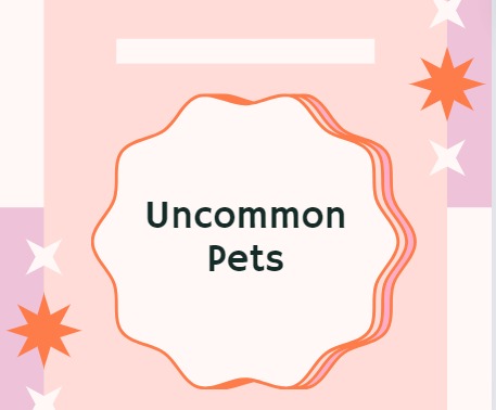 ROBLOX Adopt Me (Uncommon Pets), Video Gaming, Video Games, Others on ...