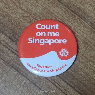 Singapore Iconic Nostalgic Dragon Playground Pin, Hobbies & Toys ...