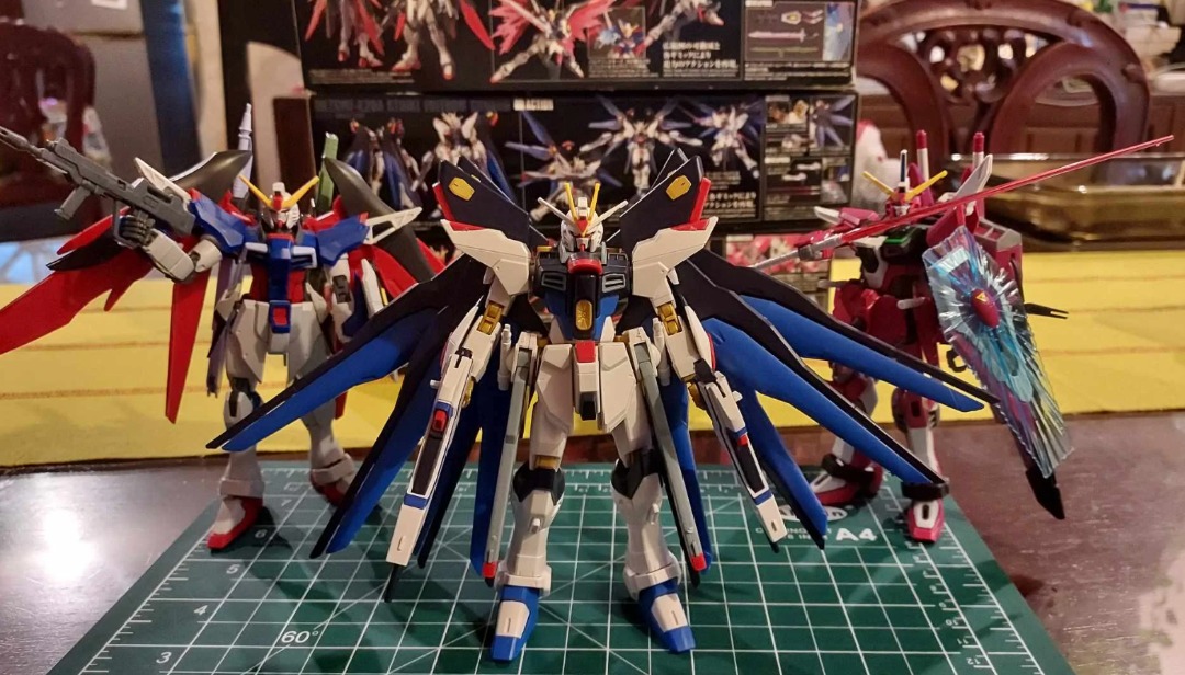 [BNIB] 1 set of 3 Brand New HG 1/144 Strike Freedom Infinite Justice ...