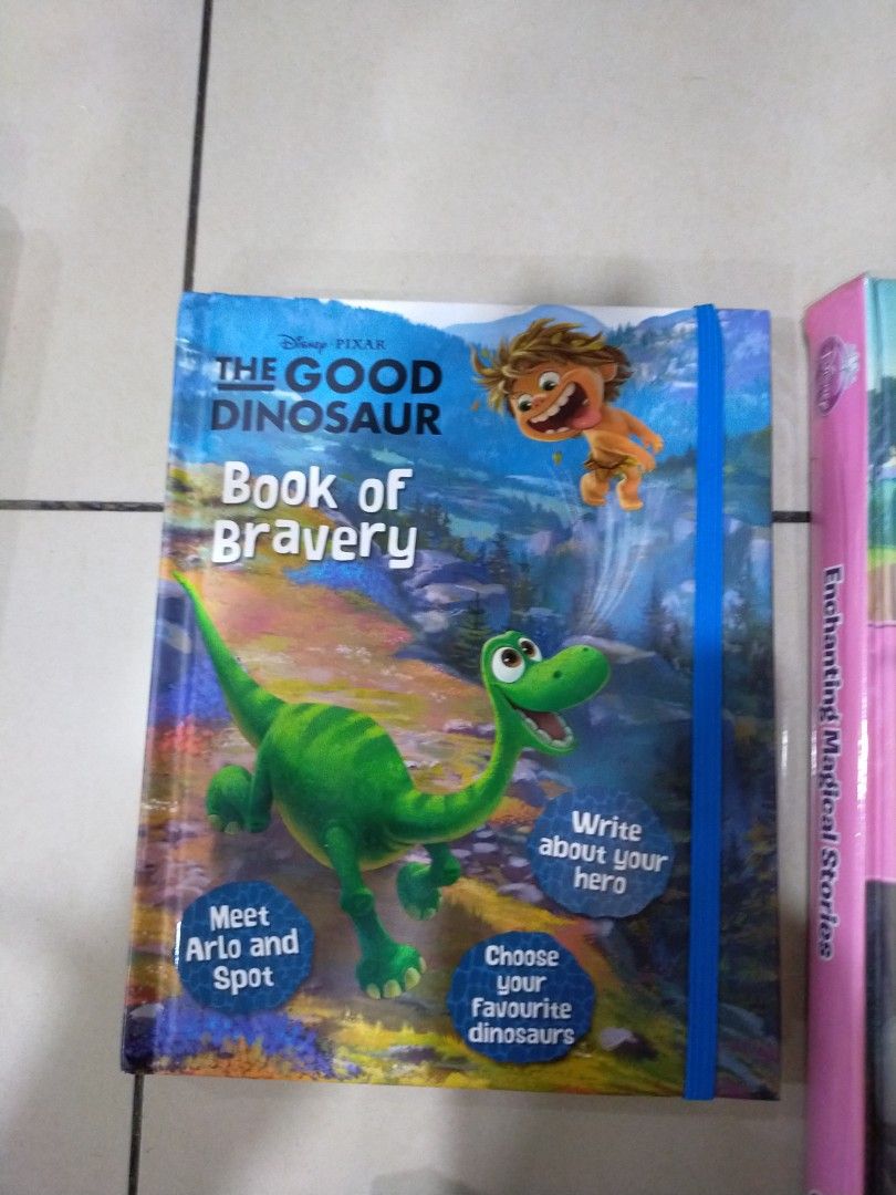 Disney story books: The good dinosaur, toy story, coco, frozen, Hobbies ...