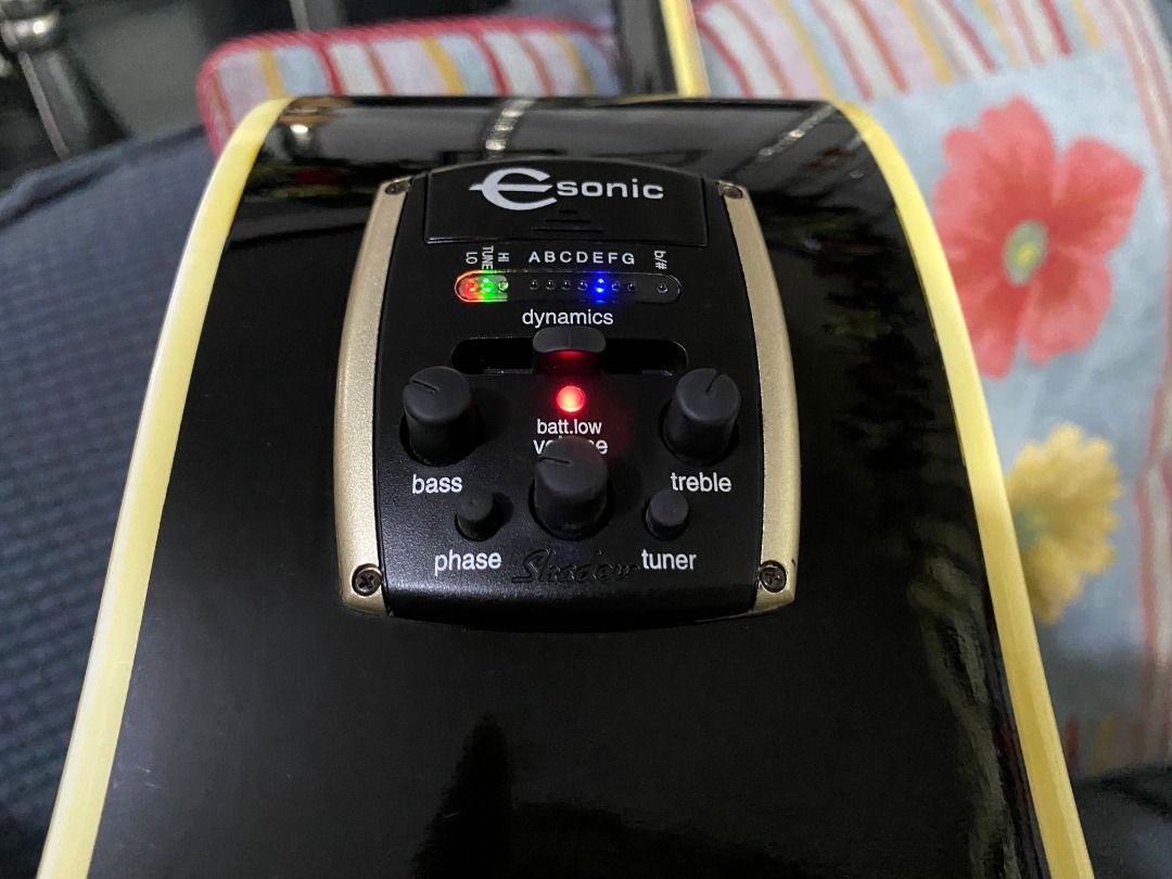 Epiphone "Jane" Dave Navarro Guitar, Hobbies & Toys, Music & Media, Musical Instruments on Carousell