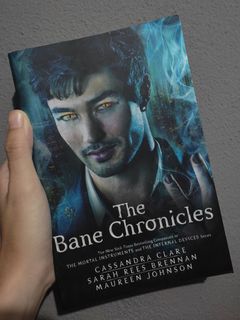 THE COMPLETE SPIDERWICK CHRONICLES, Hobbies & Toys, Books & Magazines ...