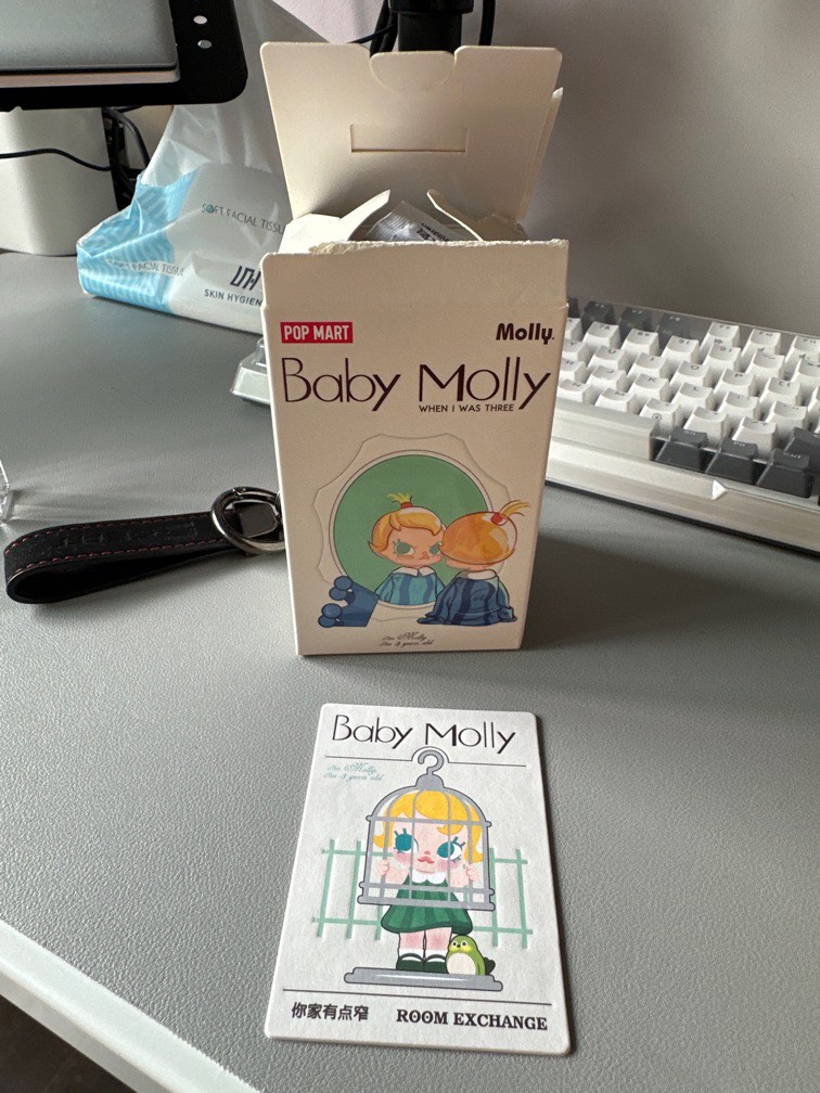 Baby Molly Room Exchange, Hobbies & Toys, Toys & Games on Carousell