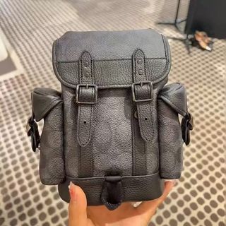 Coach 2736 3001 29040 5511 C4030 2854 3184 Peanuts West Backpack ...