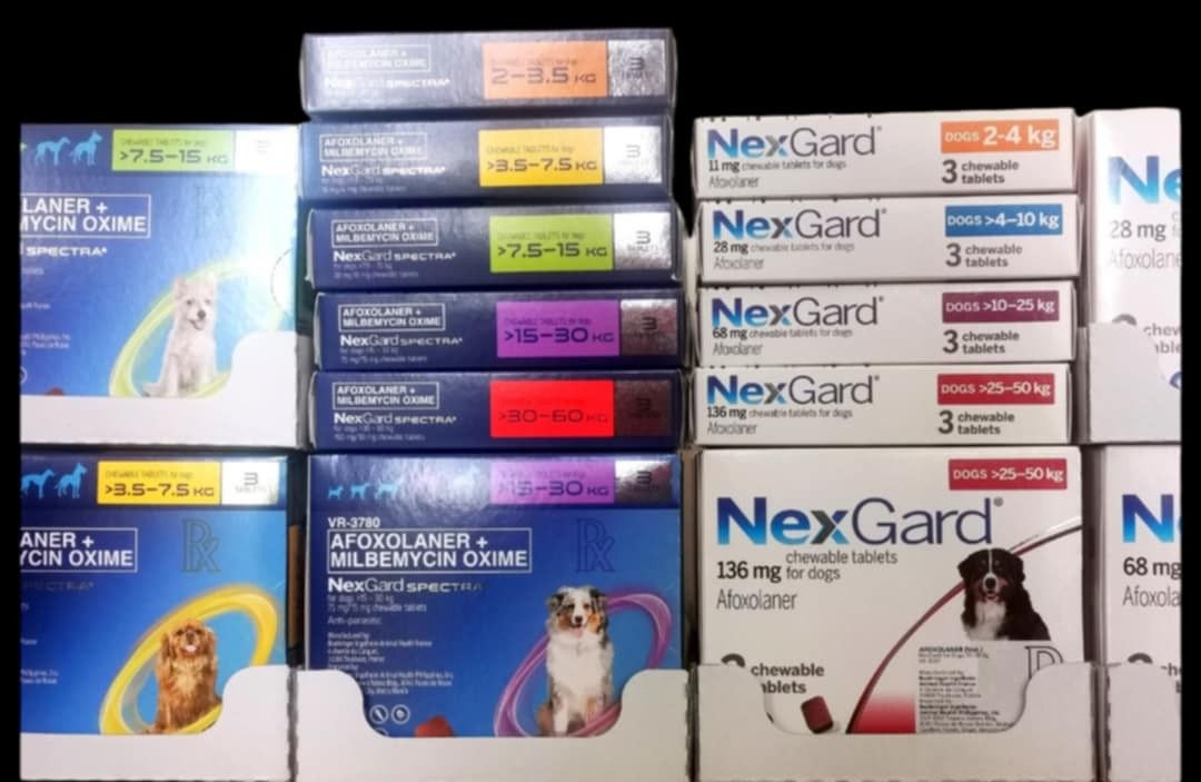 Nexgard Spectra all sizes, Pet Supplies, Health & Grooming on Carousell