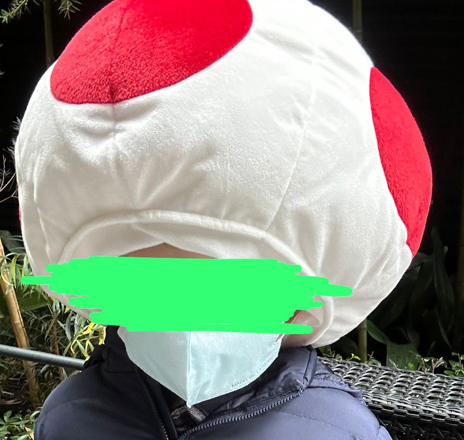 Universal studios USJ super nintendo world toad plush hat, Hobbies ...