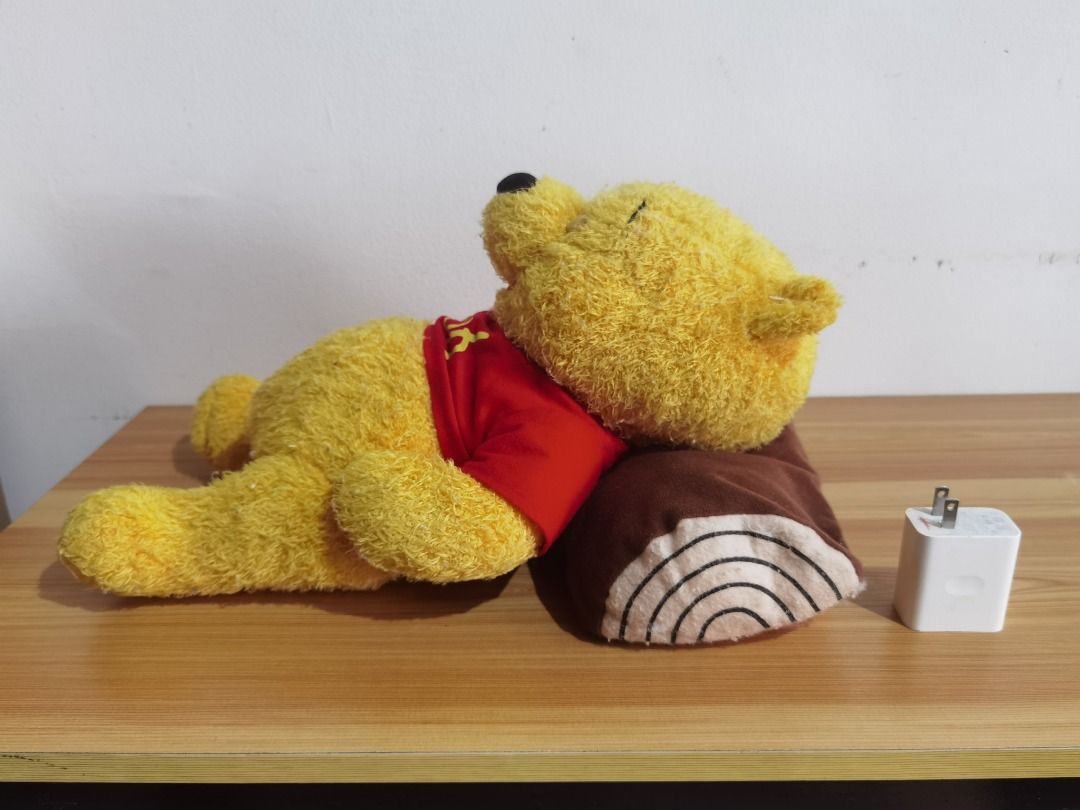 Winnie the Pooh Sleeping Plush, Hobbies & Toys, Toys & Games on Carousell