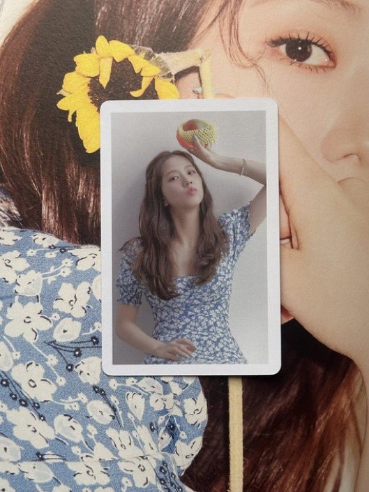 blackpink jisoo welcoming collection 2020 official photocard, Hobbies ...