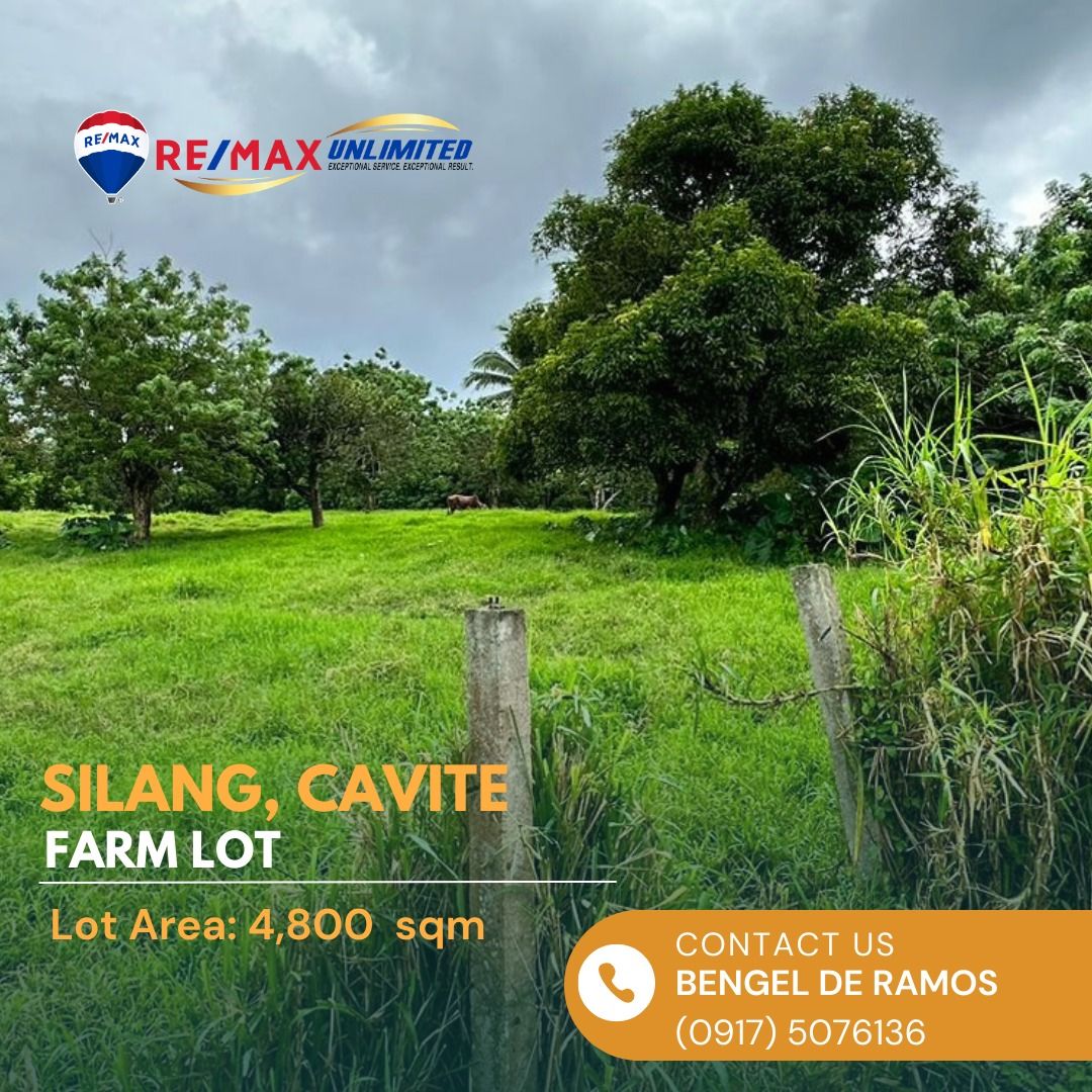 FOR SALE | FARM LOT IN SILANG CAVITE, Property, For Sale, Lot on Carousell