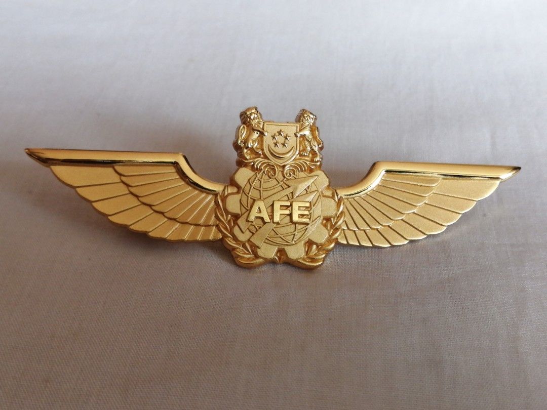 Singapore Air Force Engineer RSAF AFE Logistics Wing Badge, Hobbies ...