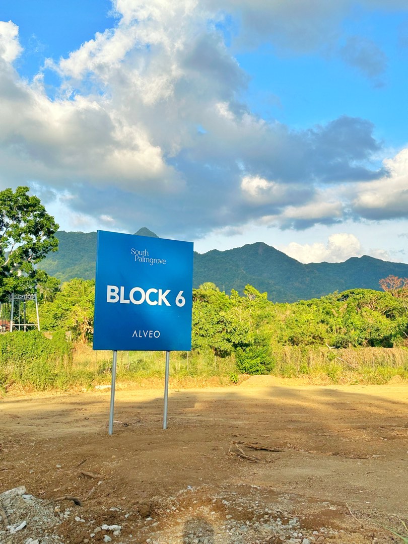 South Palm Grove, Lipa City, Batangas by Alveo Land, Property, For Sale ...