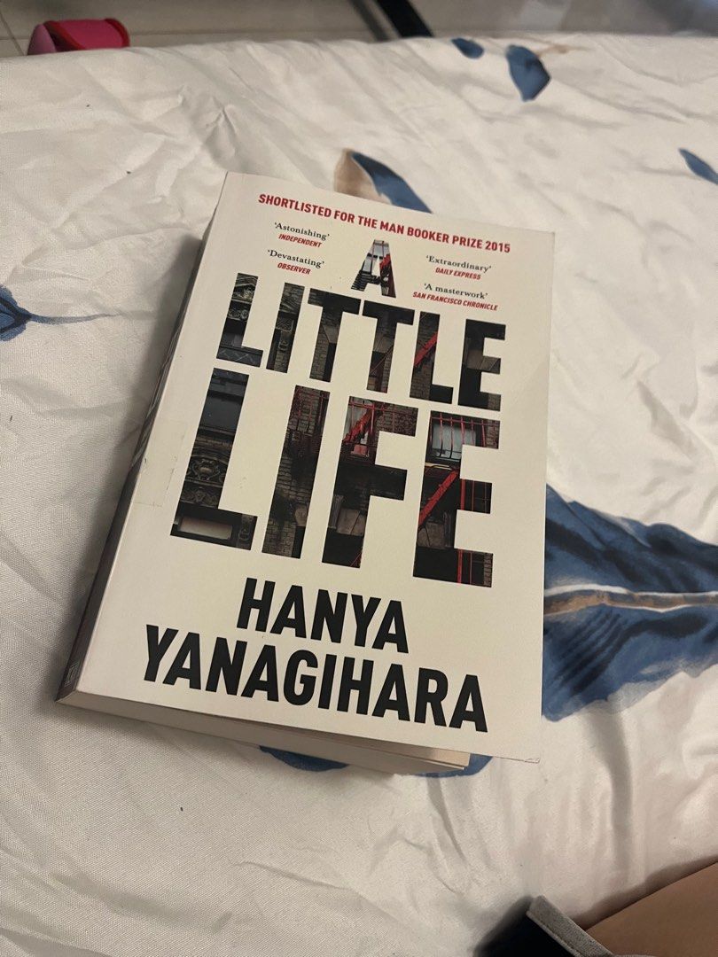 A little life book, Hobbies & Toys, Books & Magazines, Fiction & Non ...