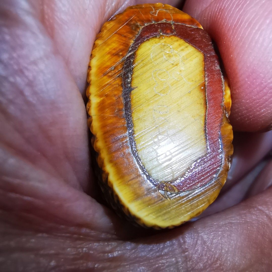 LP Thuad sit on cobras Rare. Archan Tim, Hobbies & Toys, Memorabilia ...