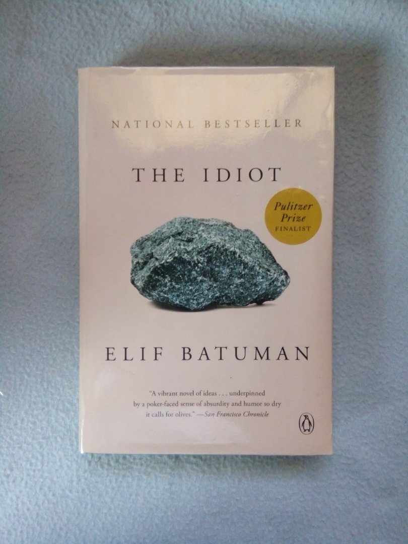 THE IDIOT | ELIF BATUMAN, Hobbies & Toys, Books & Magazines, Fiction ...