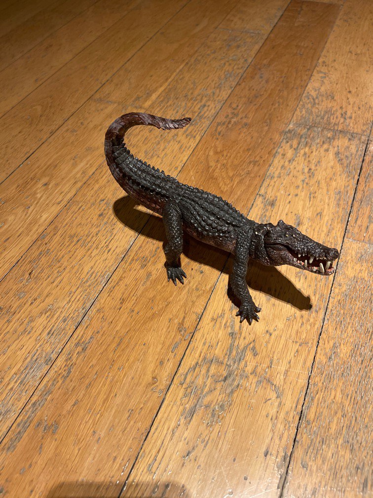 ancient crocodile, Hobbies & Toys, Toys & Games on Carousell