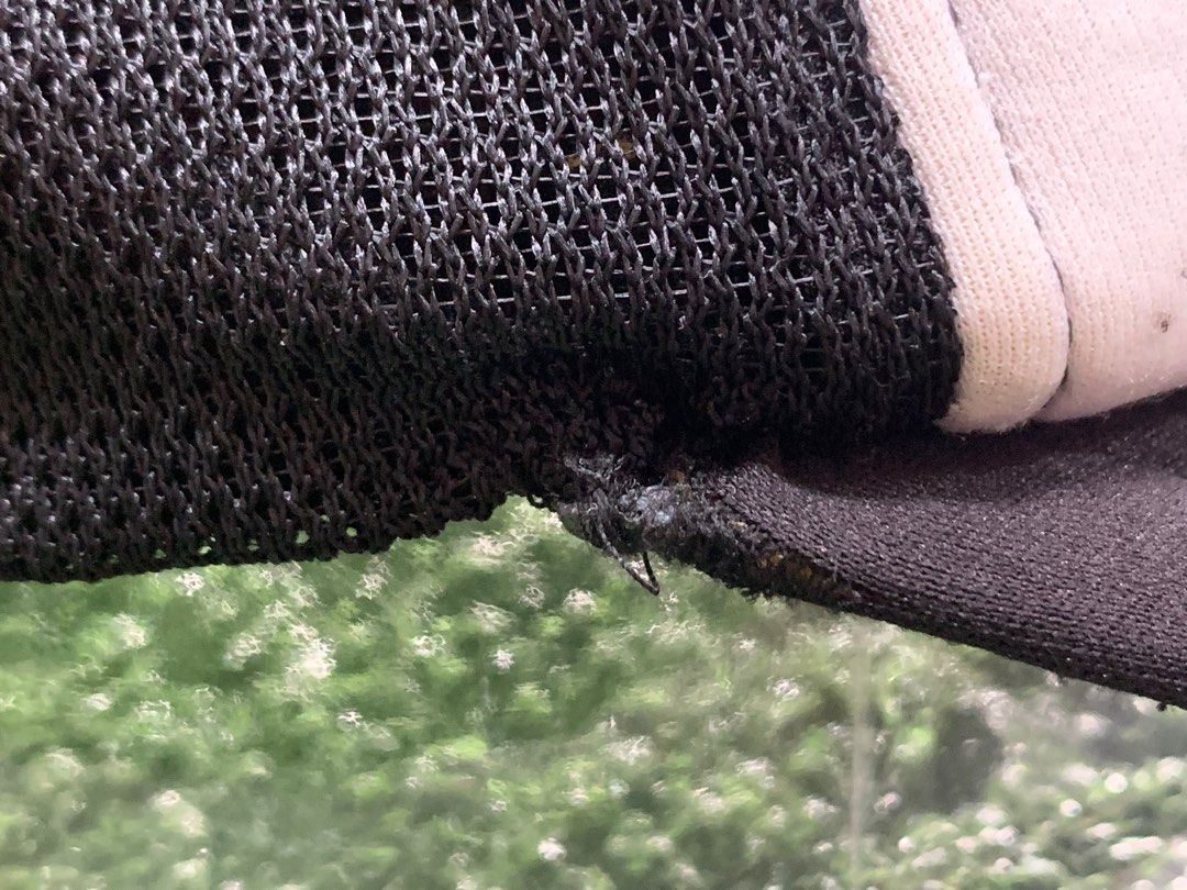 Cap Rolling stone X number nine, Men's Fashion, Watches & Accessories ...