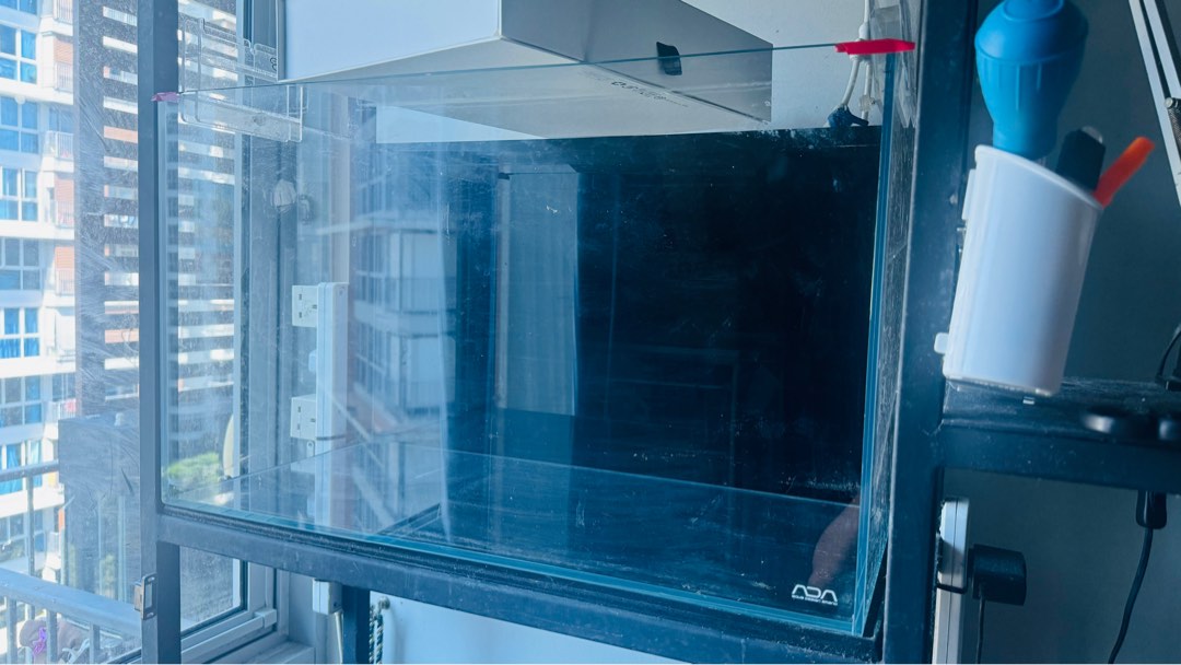 Crystal glass tank 2ft, Pet Supplies, Homes & Other Pet Accessories on ...