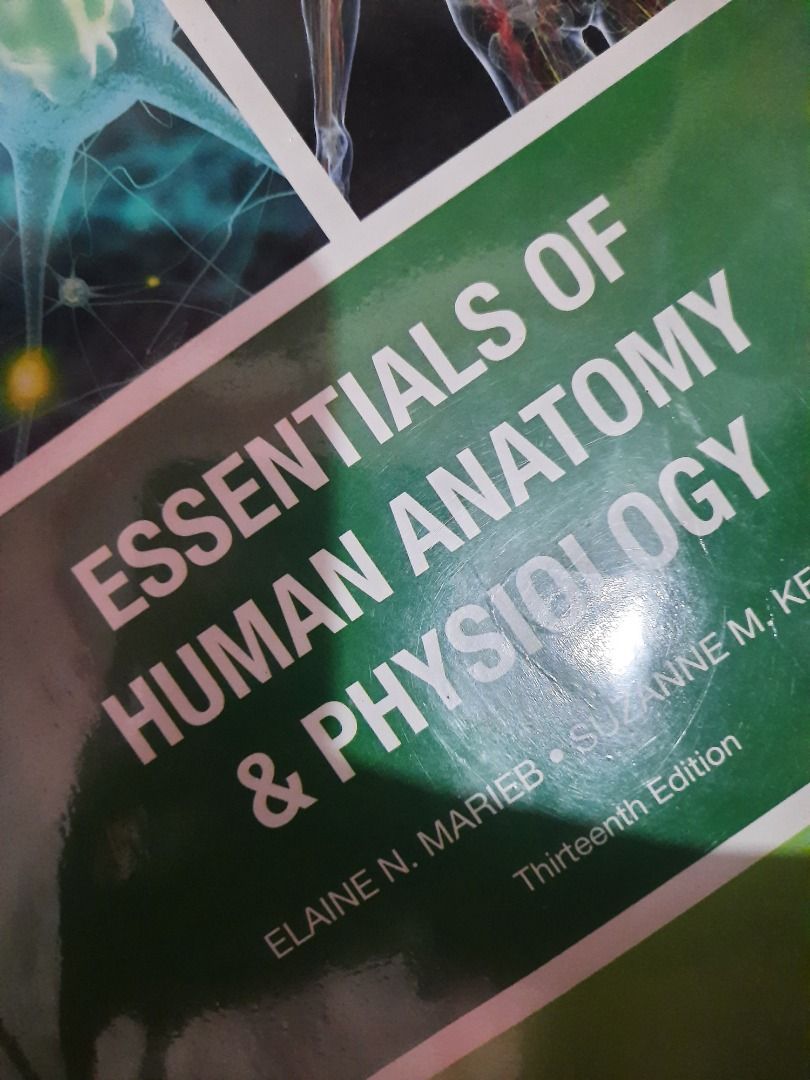 ESSENTIALS OF HUMAN ANATOMY AND PHYSIOLOGY 13TH ED., Hobbies & Toys ...