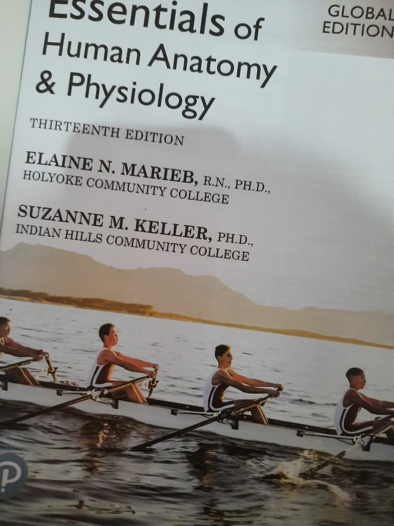 ESSENTIALS OF HUMAN ANATOMY AND PHYSIOLOGY 13TH ED., Hobbies & Toys ...