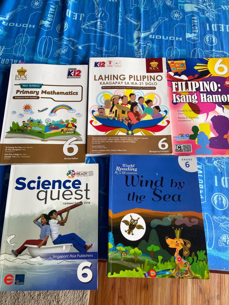 Grade 6 textbooks, Hobbies & Toys, Books & Magazines, Textbooks on ...