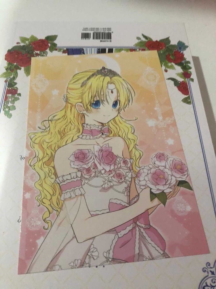 Who Made Me a Princess Limited Edition 3 (wmmap), Hobbies & Toys, Books ...