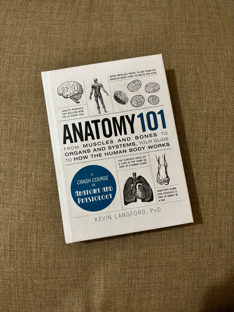 Anatomy 101, Hobbies & Toys, Books & Magazines, Textbooks on Carousell