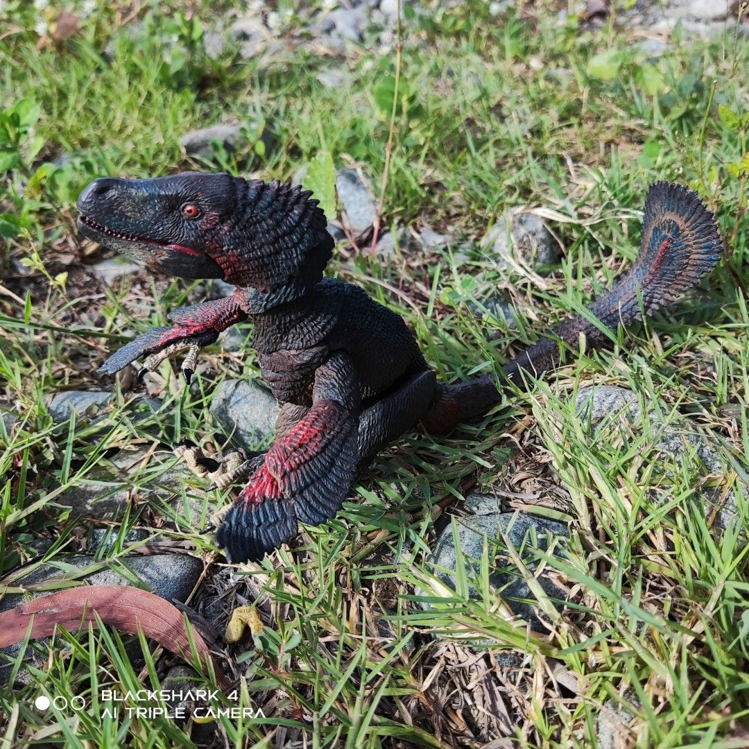 Beasts of the Mesozoic: Raptor Series Deluxe Figure - Atrociraptor ...