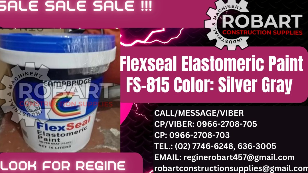 Flexseal Elastomeric Paint FS-815 Color: Silver Gray, Commercial ...