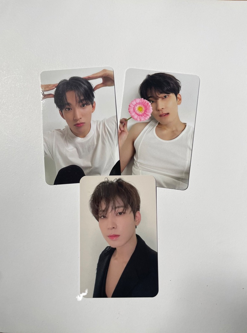 Seventeen SVT Wonwoo and DK Dear Ver RPCs + Wonwoo Your Choice ...