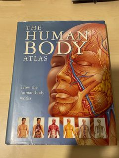Human body Atlas, Hobbies & Toys, Books & Magazines, Textbooks on Carousell