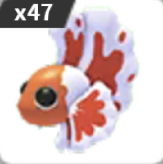 Adopt me Orange betta fish, Video Gaming, Video Games, Others on Carousell