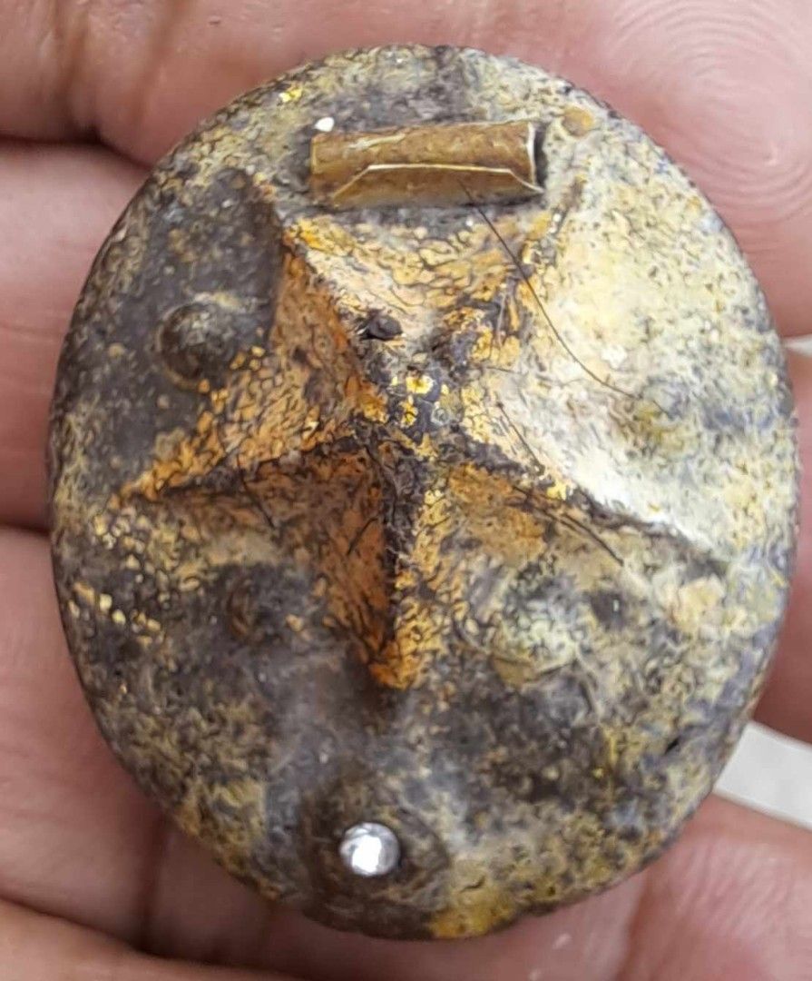 LP pinak DAO with certificate card, Hobbies & Toys, Collectibles ...