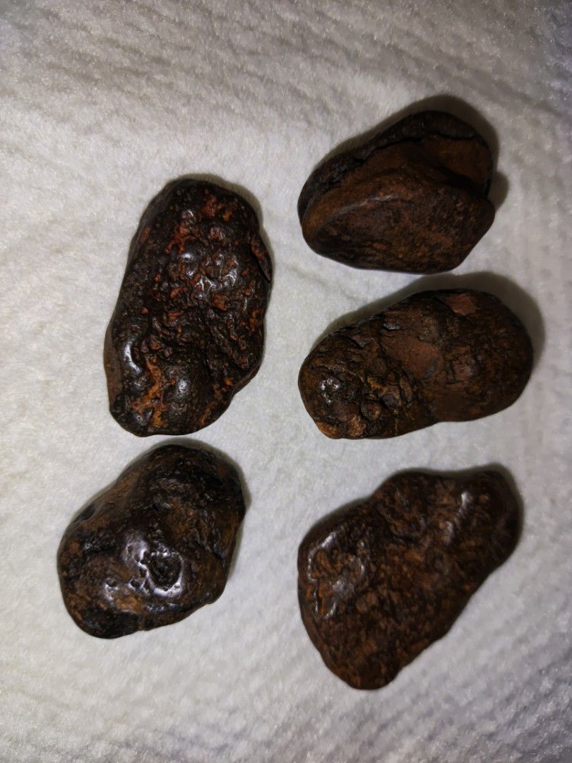 5 pieces Thunder Stone from West Malaysia Mountain / Asli Collection ...