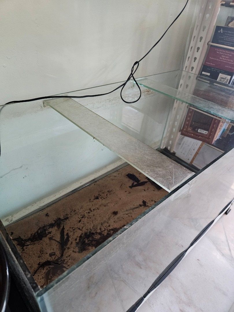 90CM Fish tank - normal glass, Pet Supplies, Homes & Other Pet ...