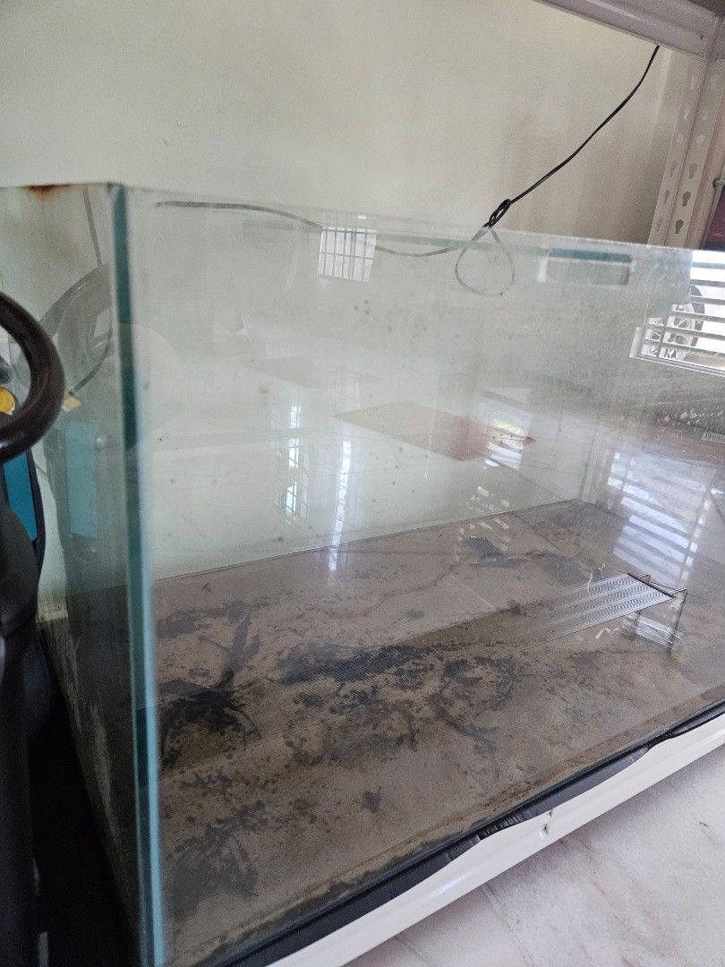 90CM Fish tank - normal glass, Pet Supplies, Homes & Other Pet ...