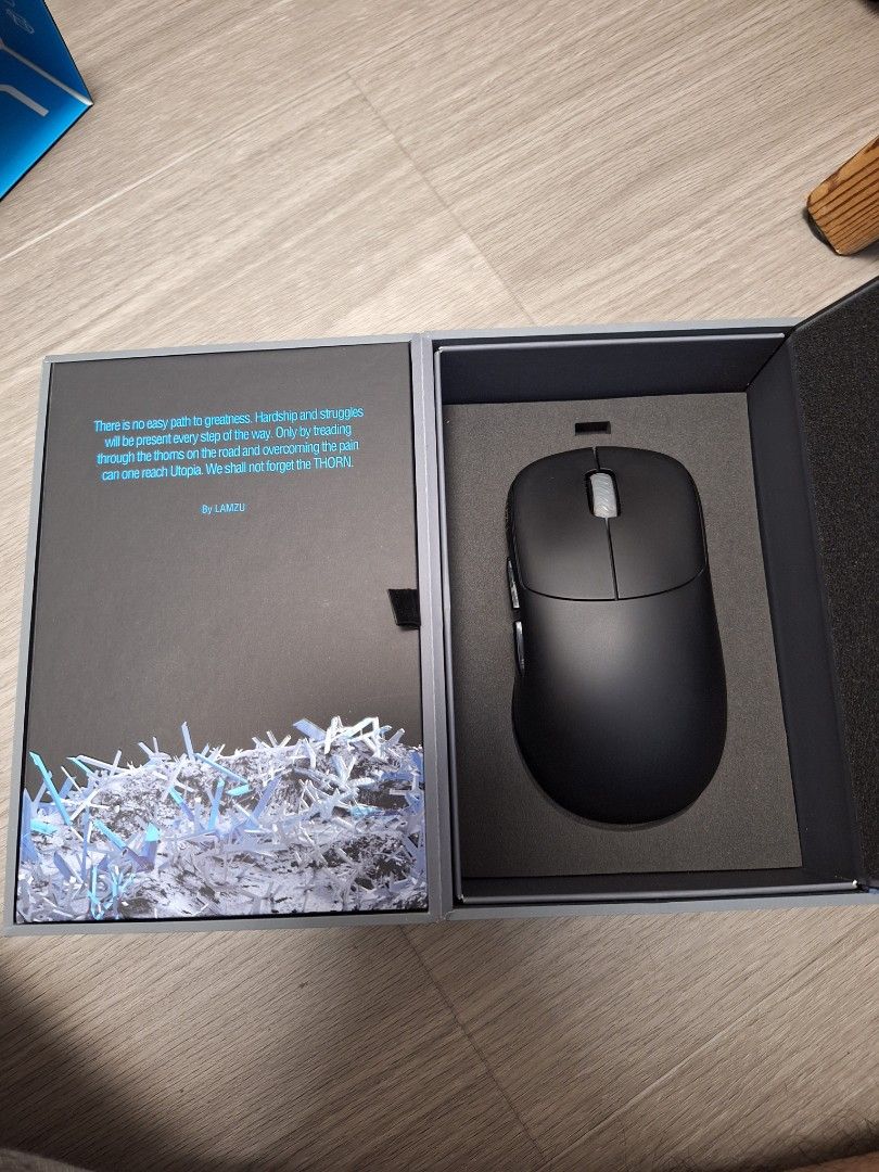 Lamzu thorn 4k w/ corepads, Computers & Tech, Parts & Accessories ...