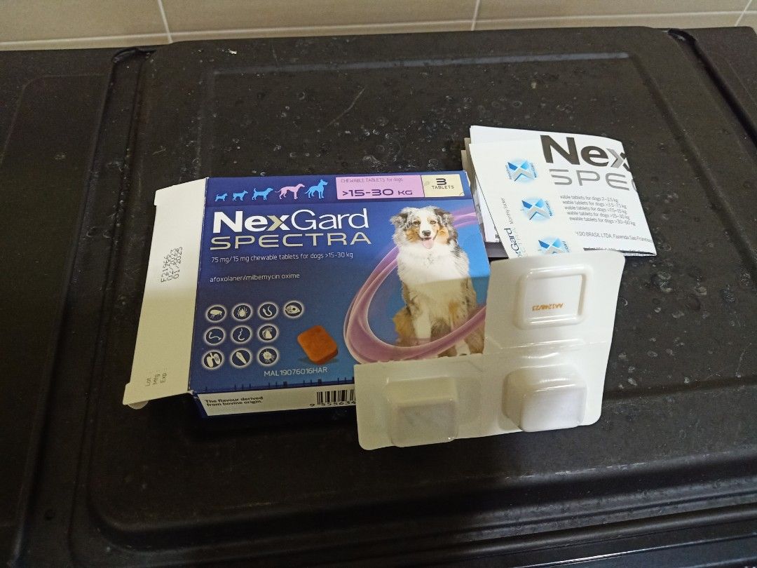 Nexguard, Pet Supplies, Health & Grooming on Carousell