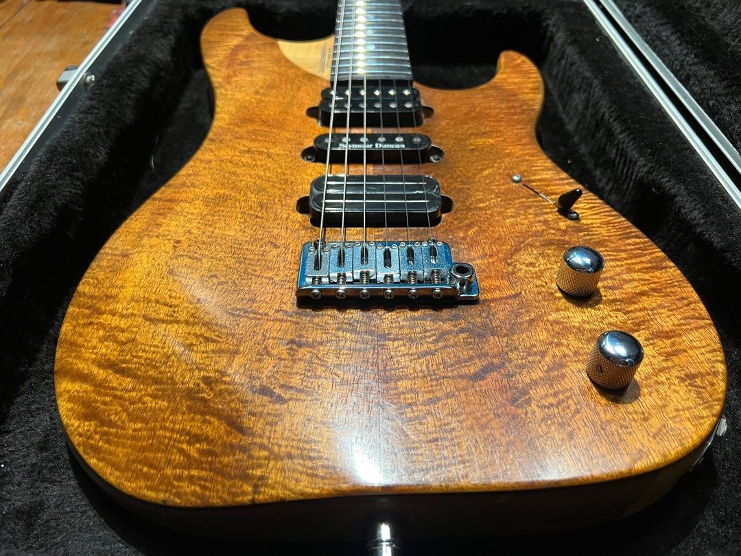 Washburn N4 - Custom, Hobbies & Toys, Music & Media, Musical ...