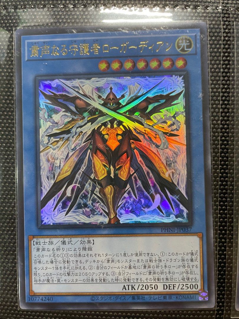 skull guardian protector