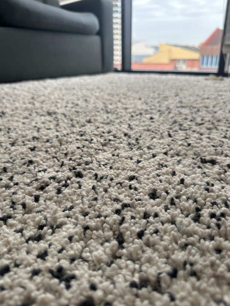 Extra large sized high-pile rug carpet black cream beige ikea vindum ...