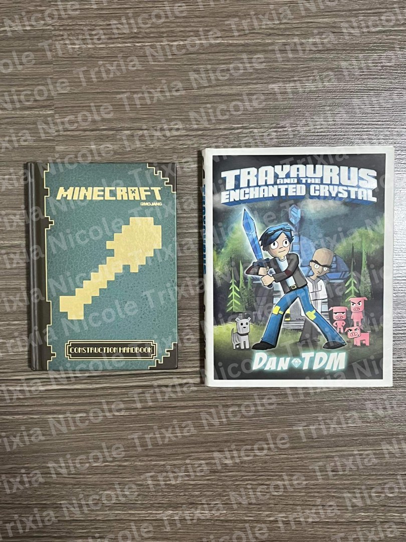Minecraft: Construction Handbook and DanTDM Book (Trayaurus and the ...
