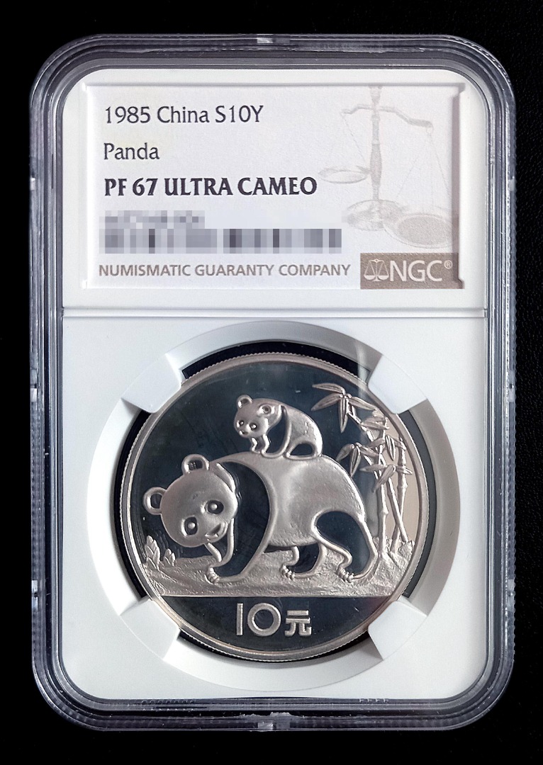 China 10 Yuan 1985 Panda Silver Coin, Hobbies & Toys, Memorabilia ...
