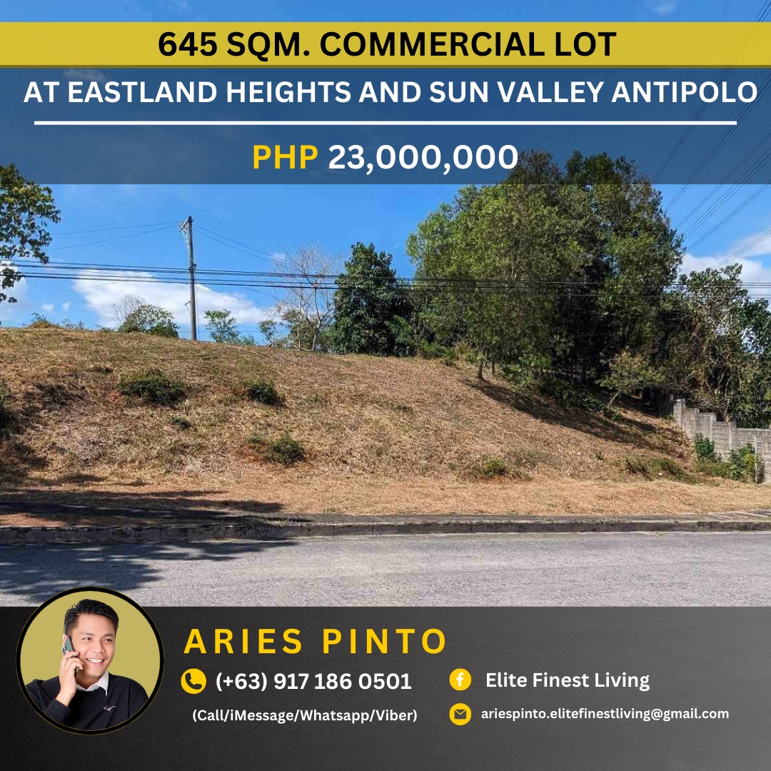 645 sqm. Corner Commercial Lot in Eastland Heights and Sun Valley ...
