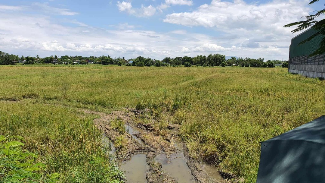 Commercial Lot for sle alogn Pulilian Baliuag Bypass Bulacan, Property ...