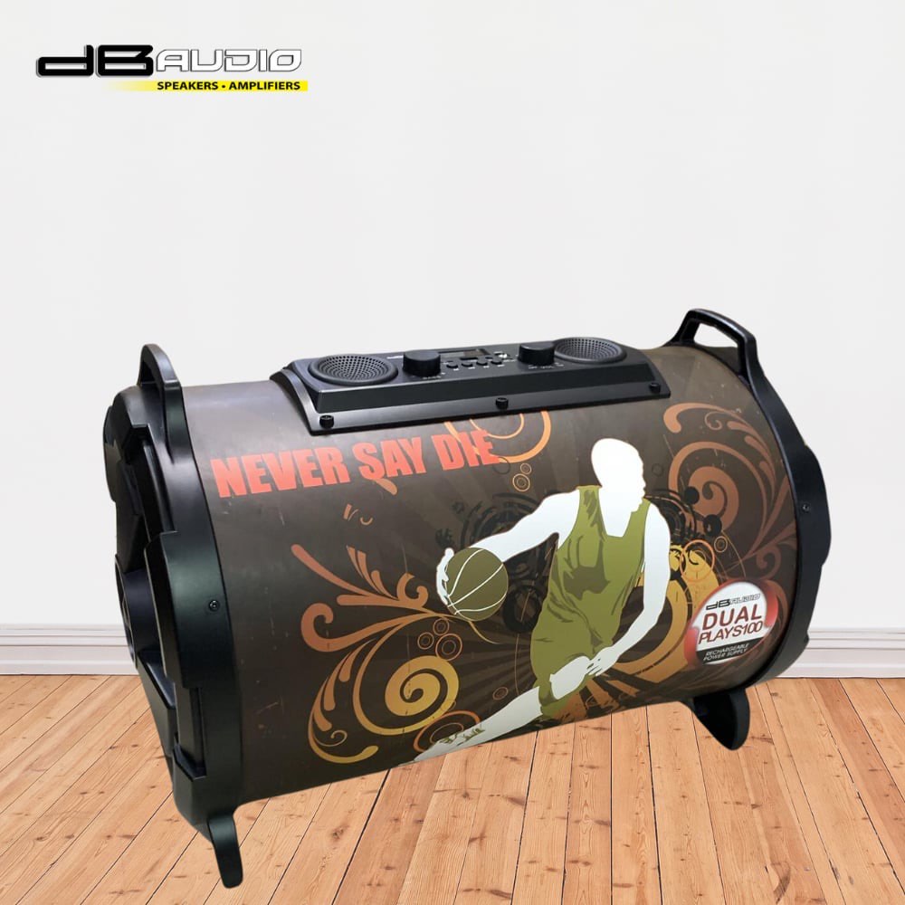 DBaudio DualPlays100 Wireless Bluetooth/FM Radio/ AUX/TF Card Digital ...