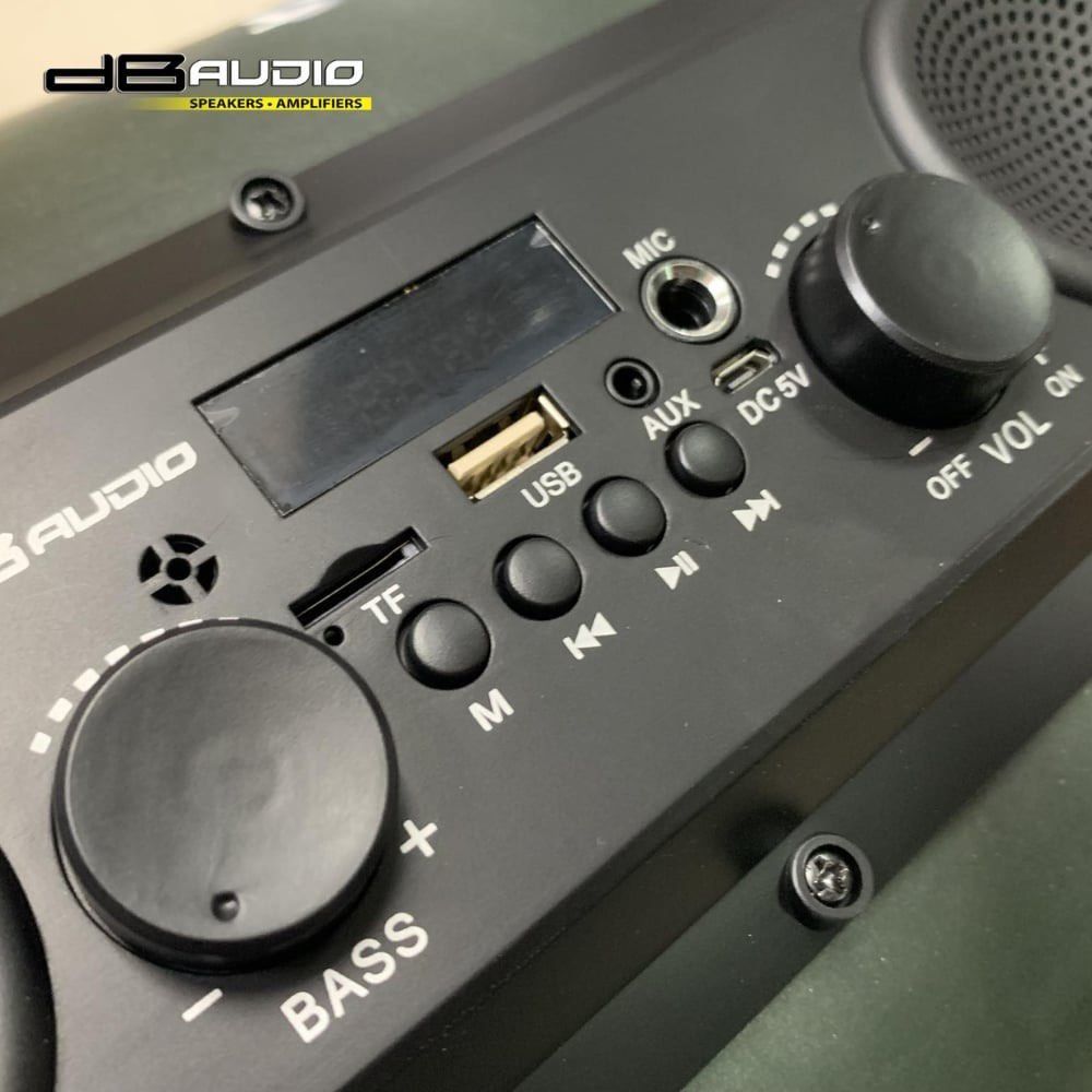 DBaudio DualPlays100 Wireless Bluetooth/FM Radio/ AUX/TF Card Digital ...
