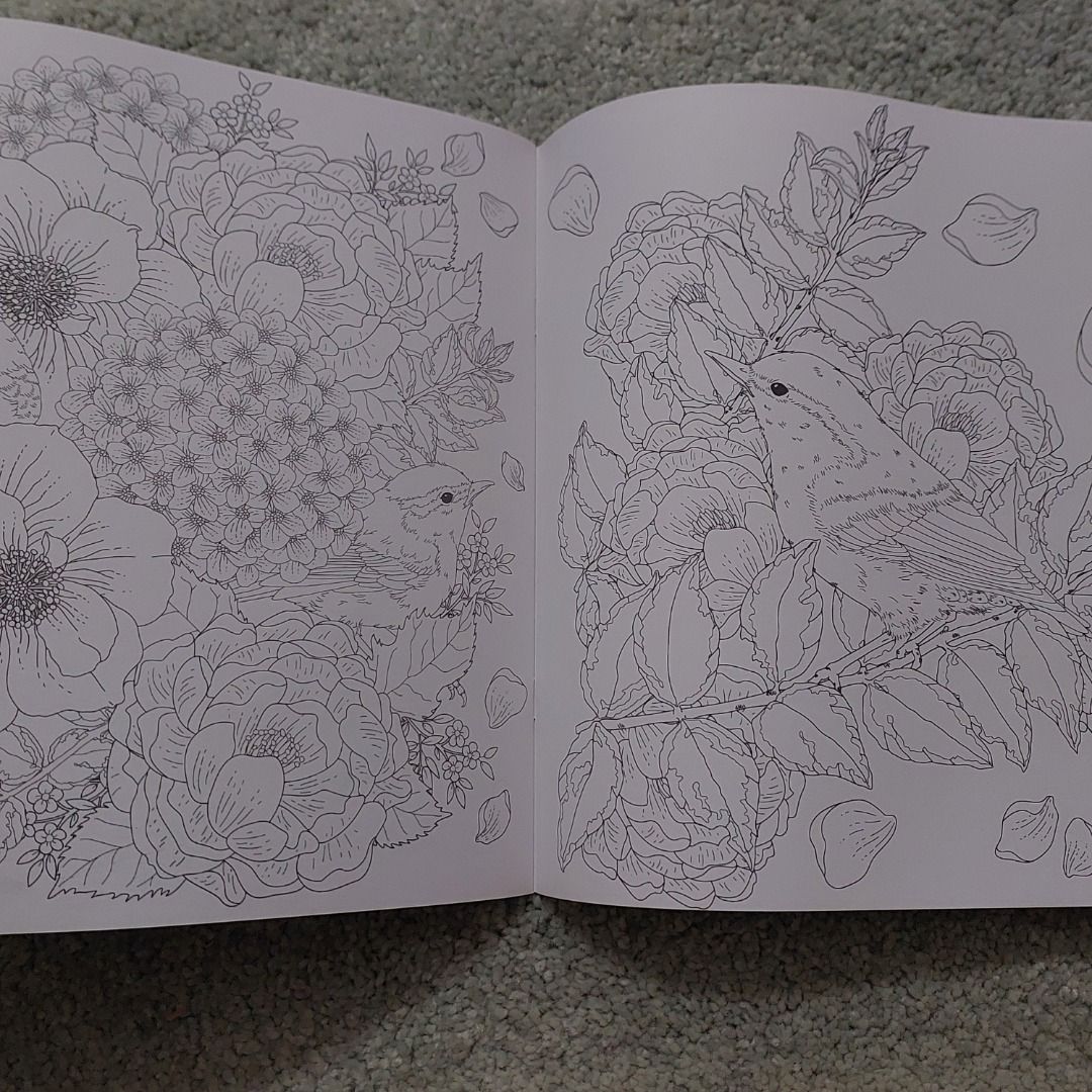 [Slightly Used] Coloring Book, Hobbies & Toys, Stationary & Craft, Art ...