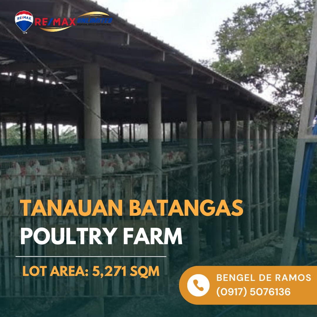 TANAUAN BATANGAS POULTRY FARM FOR SALE:, Property, For Sale, Commercial ...